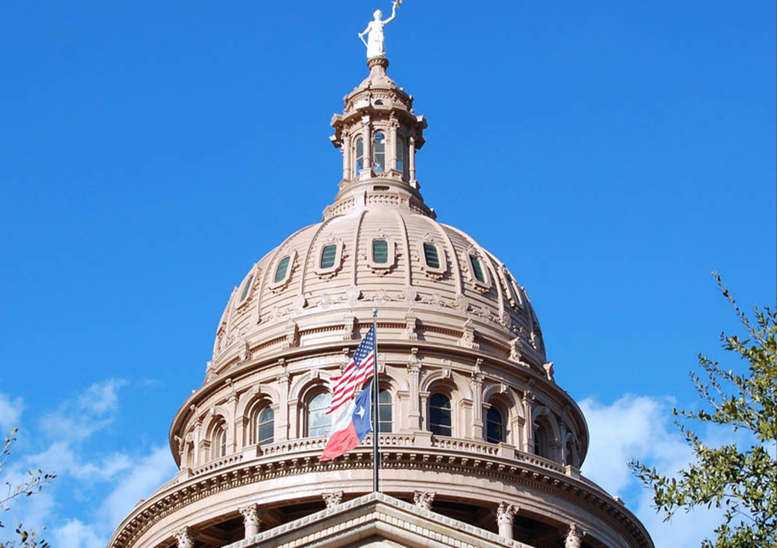 Who We Are - Texas Nurse Practitioners